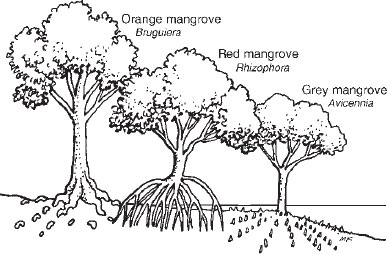 Fisheries Biology, Assessment and Management