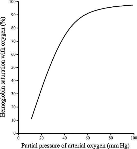 Clinical Canine and Feline Respiratory Medicine